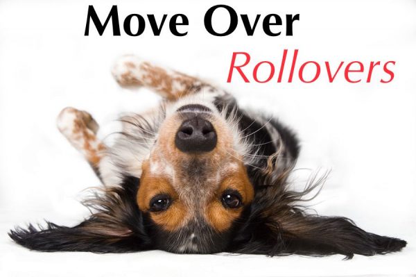 Move over Rollovers - Vesity Financial Inc